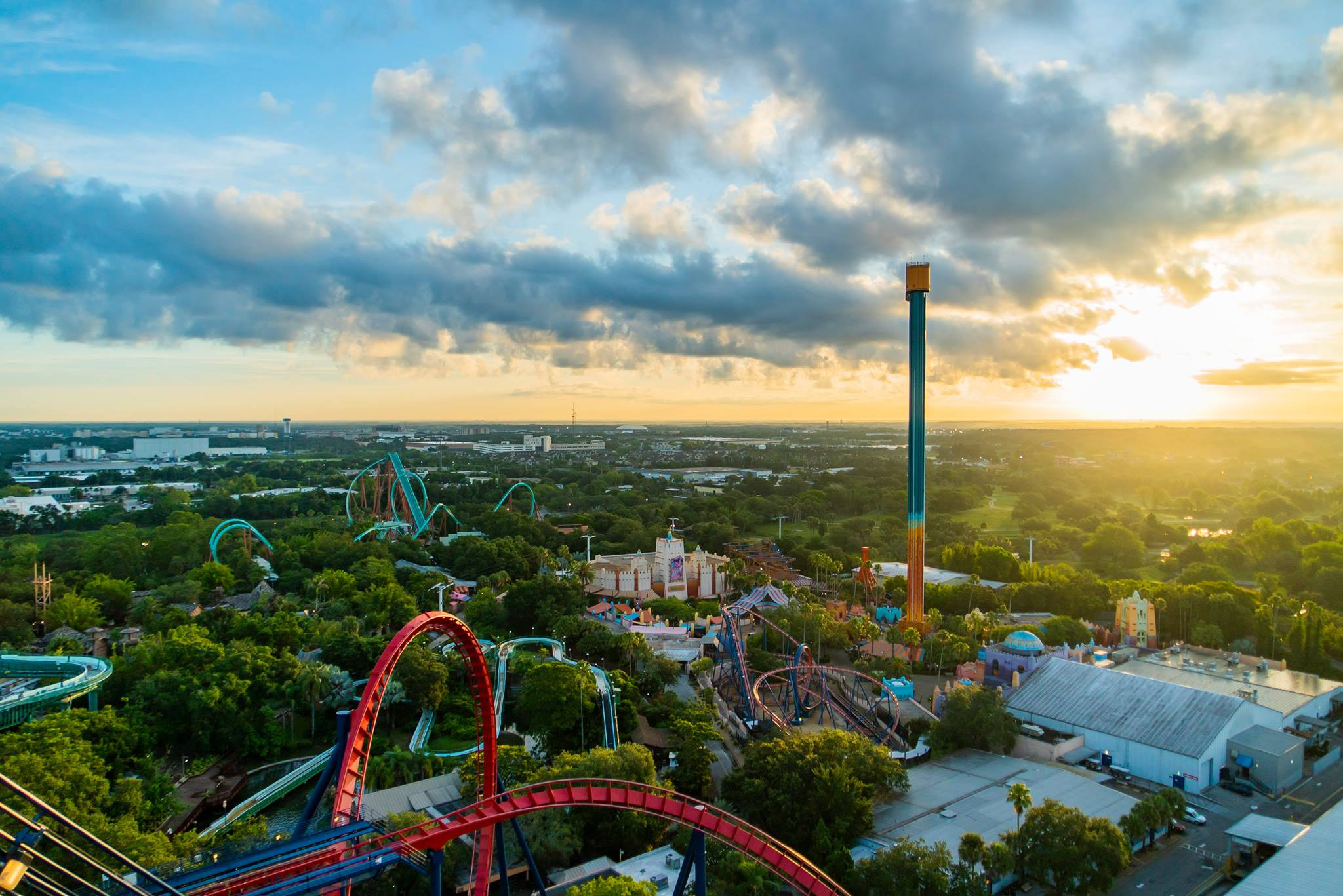 Busch Gardens Tampa Bay | Attraction Insight