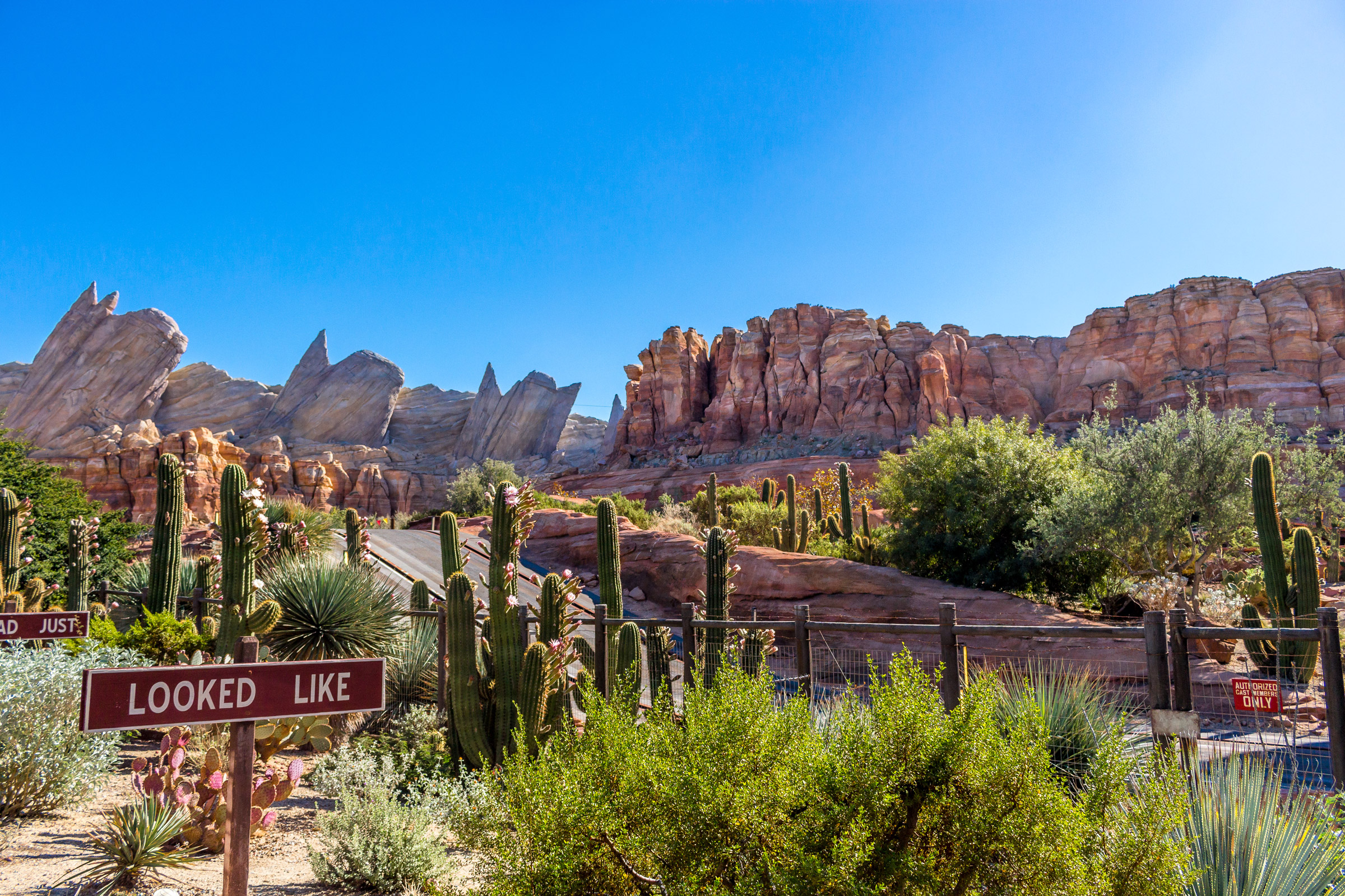 Radiator Springs Racers at Disneyland Resort | Attraction Insight