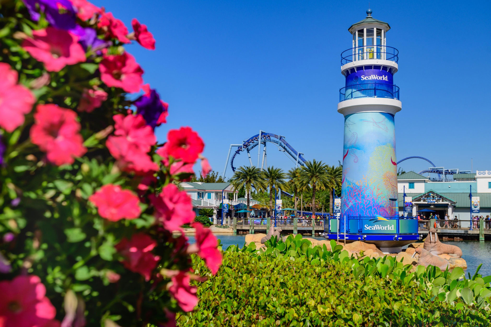 SeaWorld Orlando | Attraction Insight