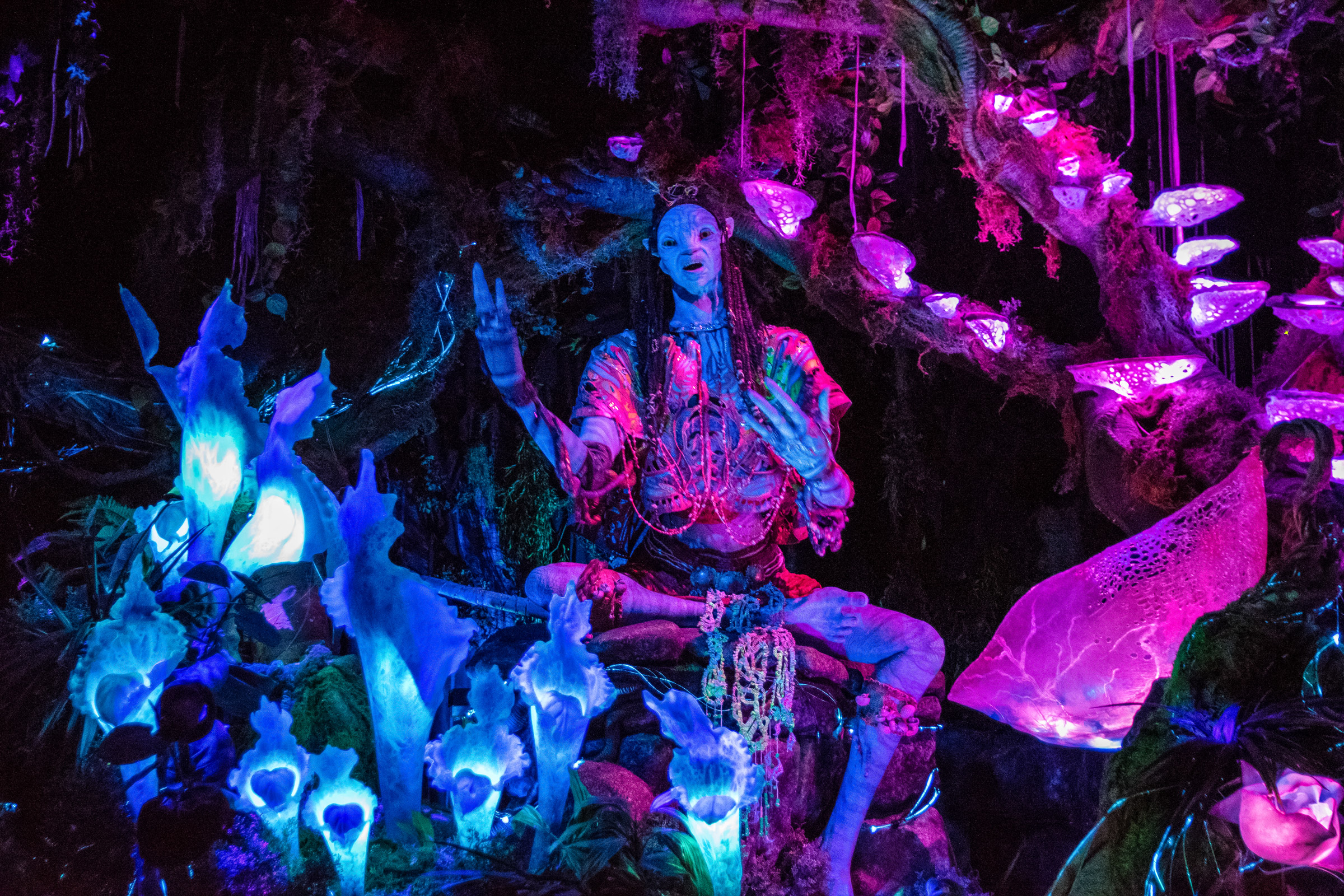 Disney Reveals Location of New Avatar Experience for Disneyland ...