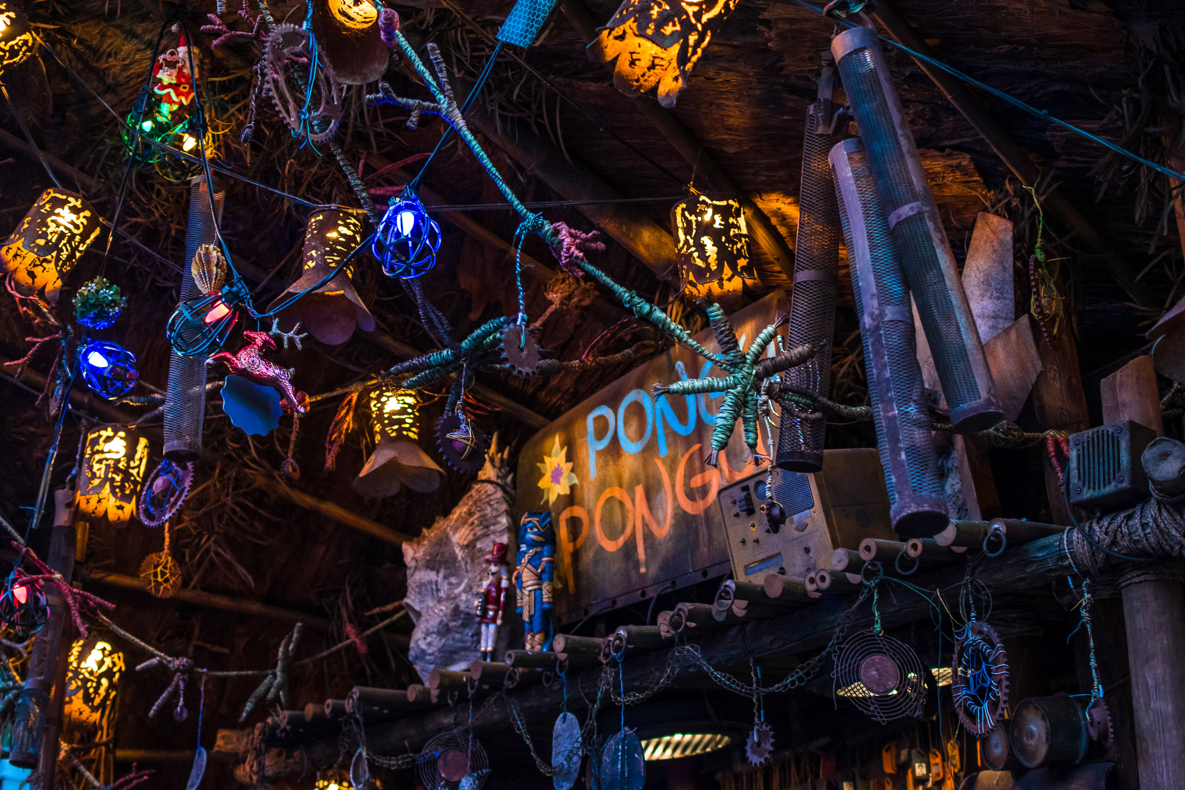 Pongu Pongu at Walt Disney World | Attraction Insight