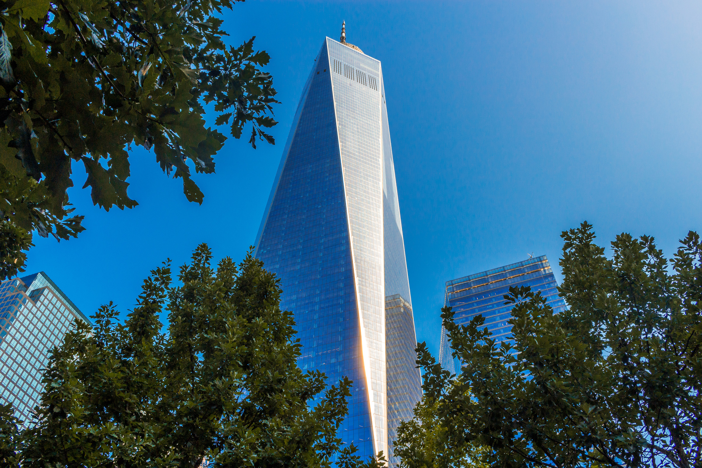 World Trade Center | Attraction Insight