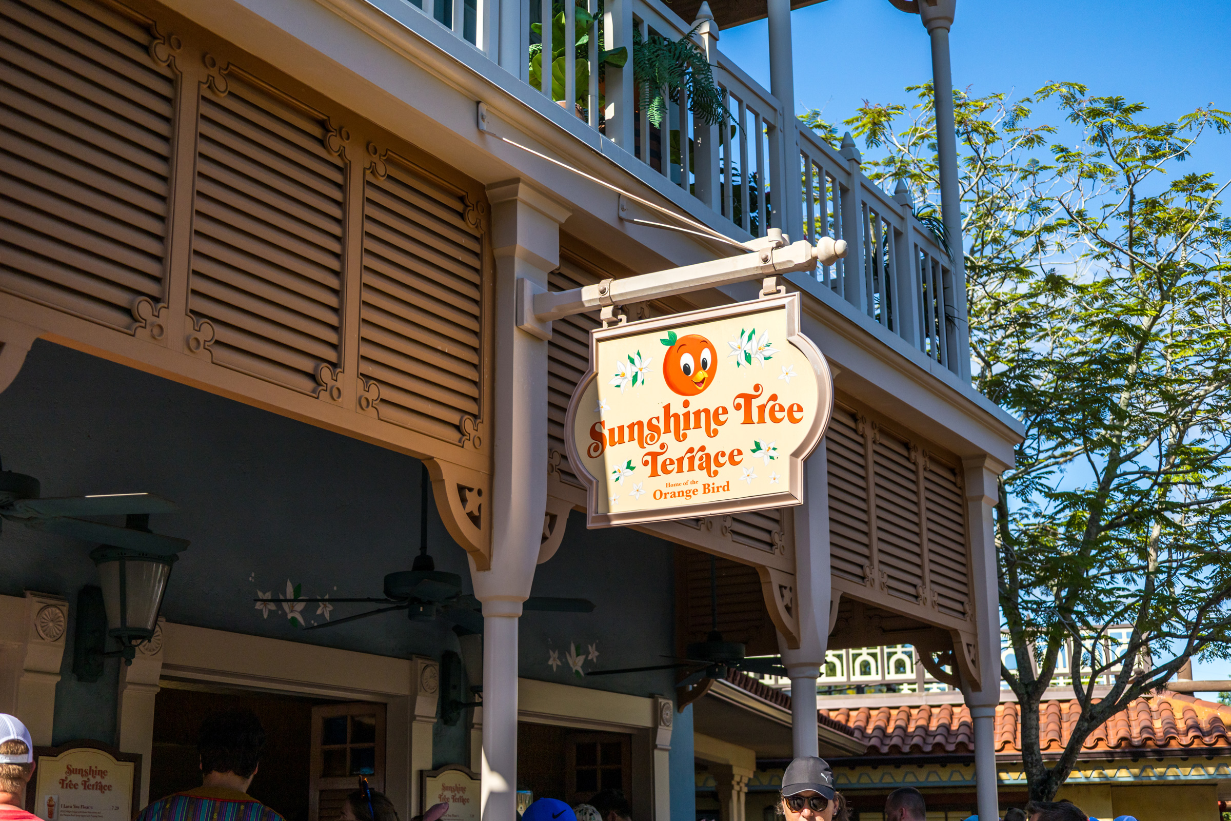 Sunshine Tree Terrace at Walt Disney World | Attraction Insight